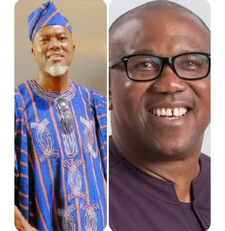 A Defense Of Peter Obi: A Response To Reno Omokri's Political ...